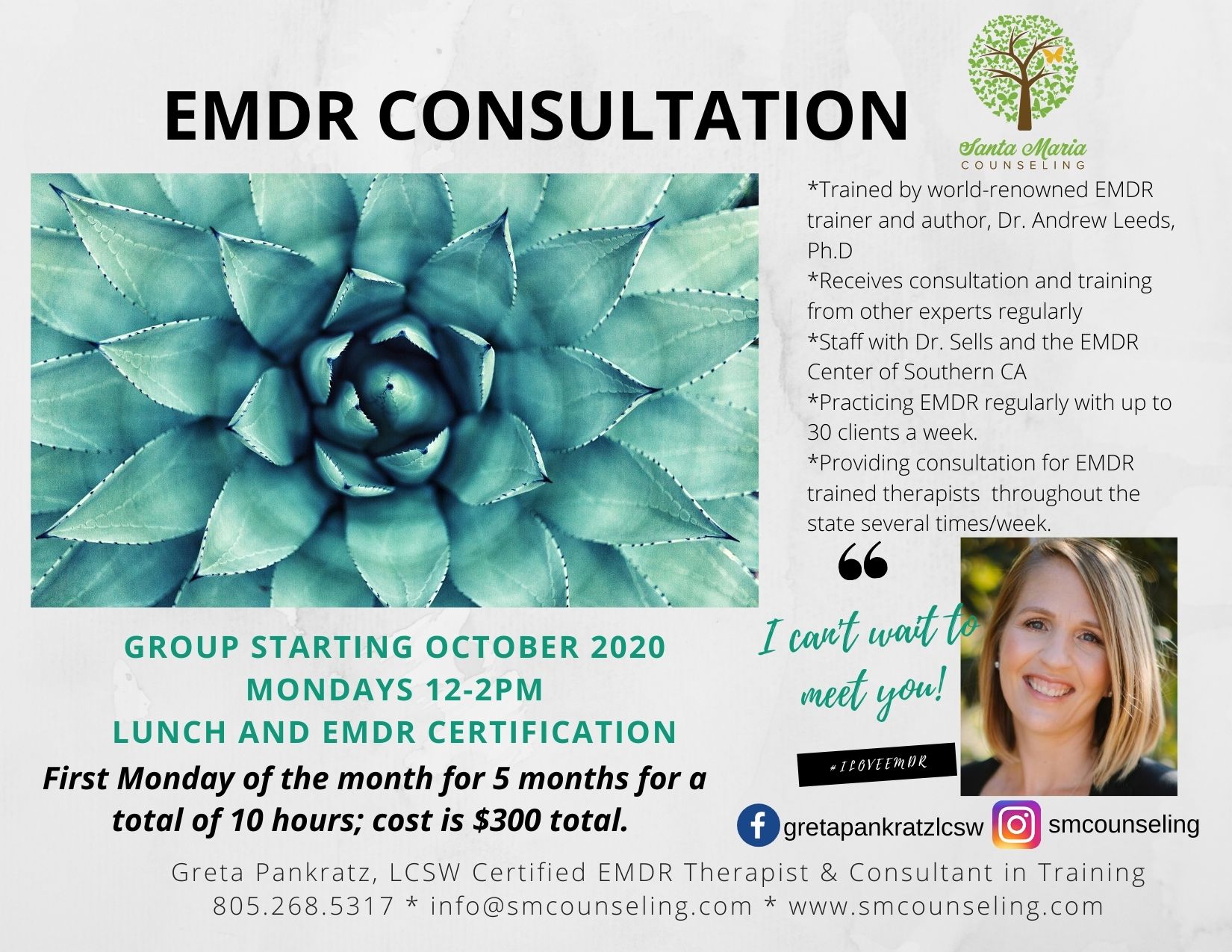 EMDR training/consultation – Greta Pankratz, LCSW